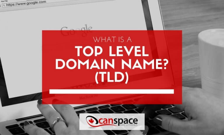 What is a Top Level Domain Name? (TLD)